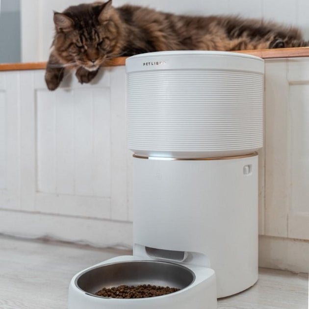 Quality Cat Food: Unraveling Certifications for Your Feline's Health ...
