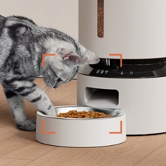 Your best pet feeding assistant when back to the office – PETLIBRO