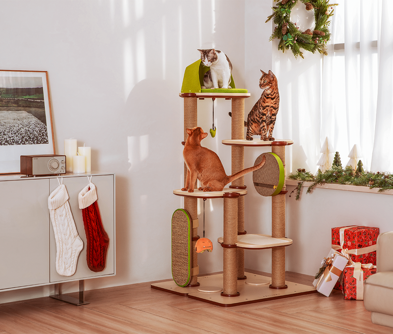 Devoted Love, Hassle-Free. – PETLIBRO