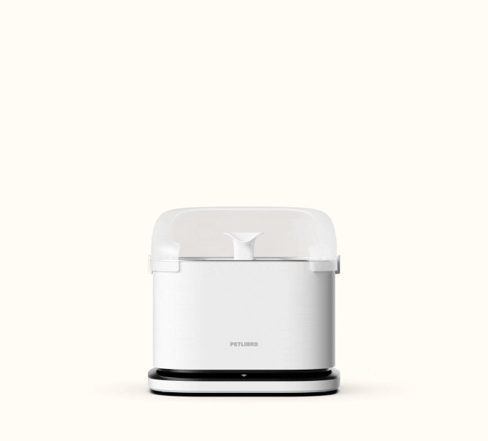 Dockstream RFID Smart Fountain