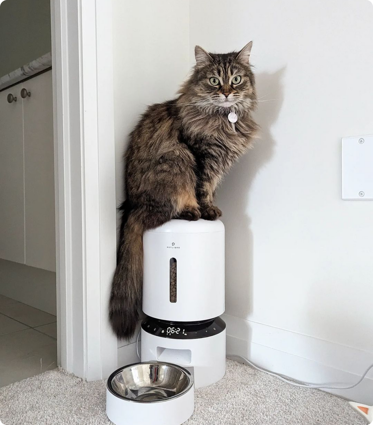 Petlibro: Designed better for your lives together