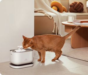 Devoted Love, Hassle-Free. – PETLIBRO