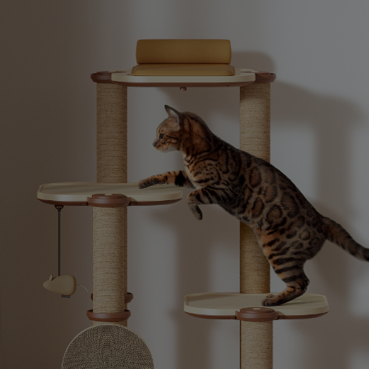 Devoted Love, Hassle-Free. – PETLIBRO