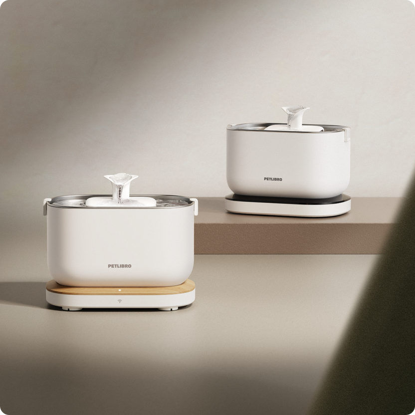 Petlibro: Designed better for your lives together