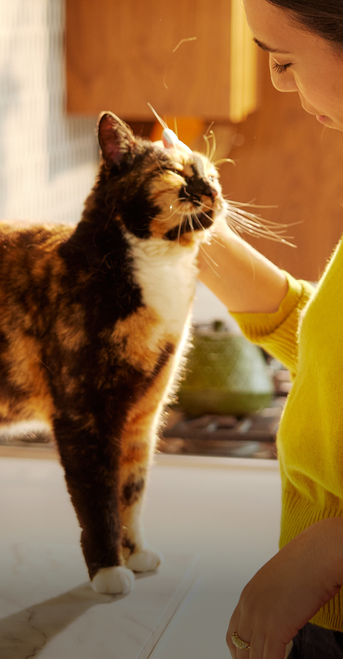 Petlibro: Designed better for your lives together