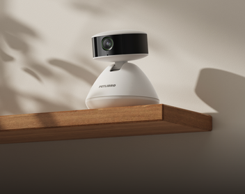 Petlibro: Designed better for your lives together