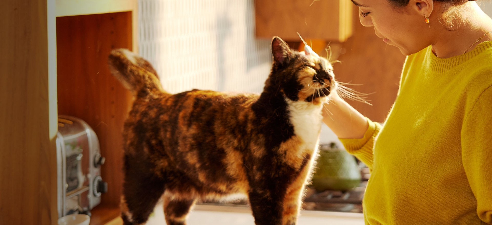 Petlibro: Designed better for your lives together