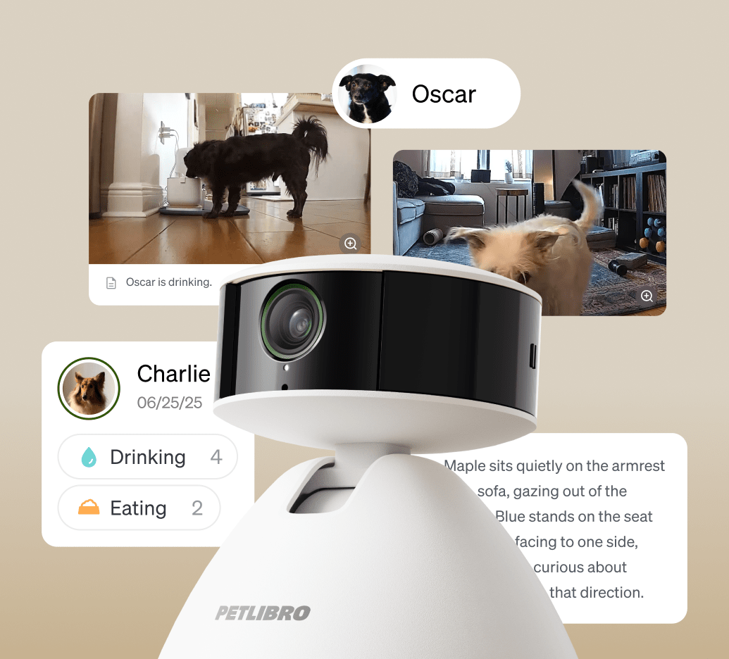 The Petlibro Scout Smart Camera knows your pets as well as you do