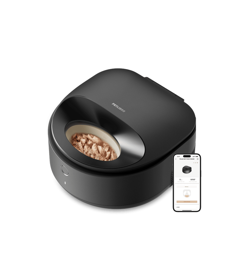 All Petlibro Products