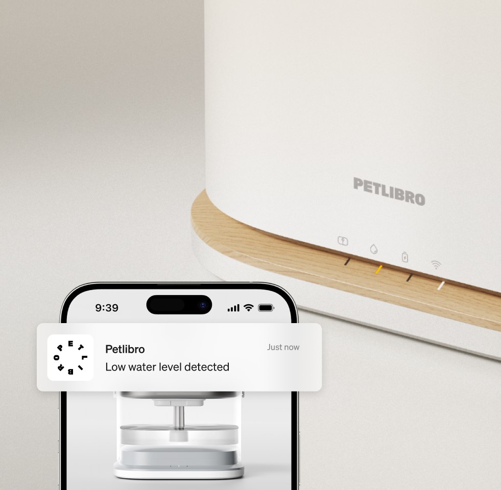 Dockstream 2 Smart Fountain: Pet hydration just got even smarter