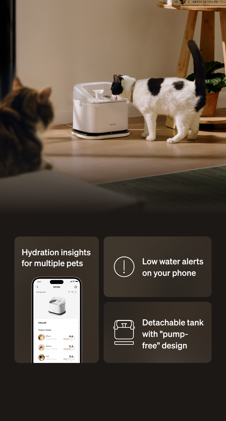 Petlibro Dockstream: Award-winning and pet-loved cat water fountain