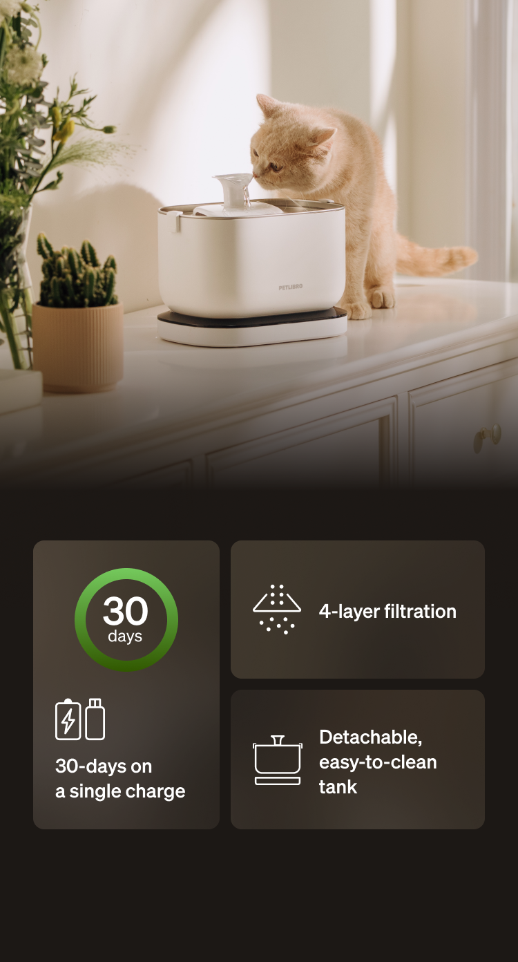 Petlibro Dockstream: Award-winning and pet-loved cat water fountain