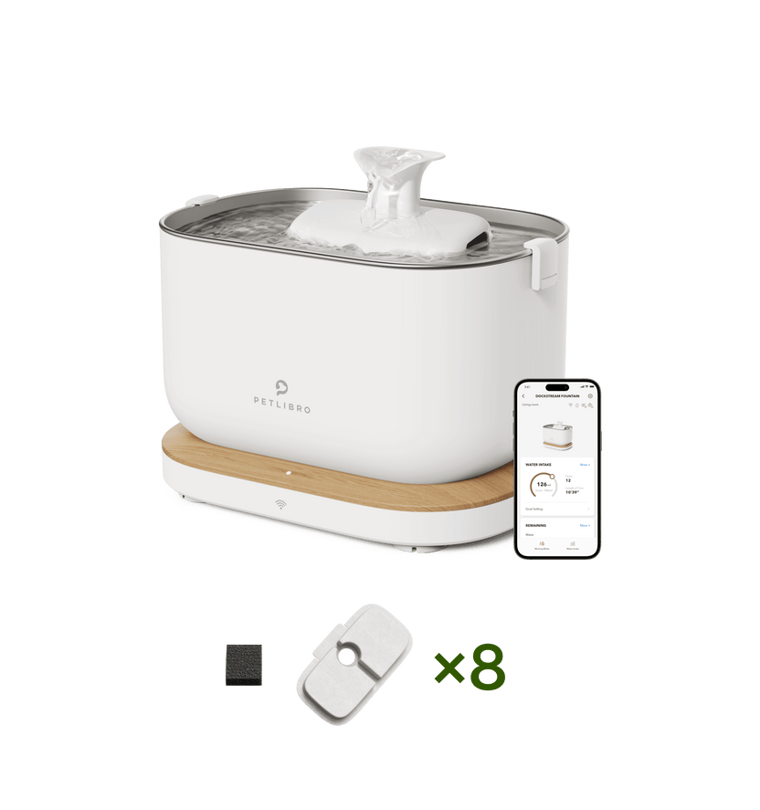 PETLIBRO Dockstream App Monitoring Water Fountain