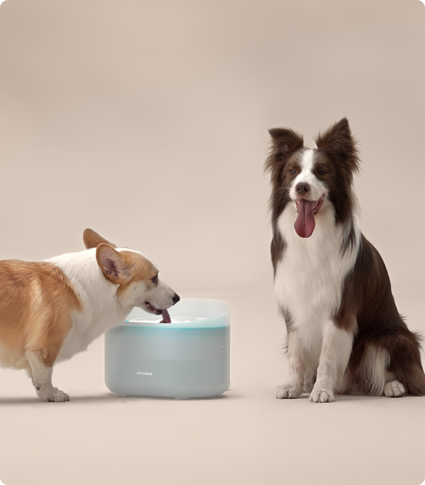 Petlibro: Designed better for your lives together