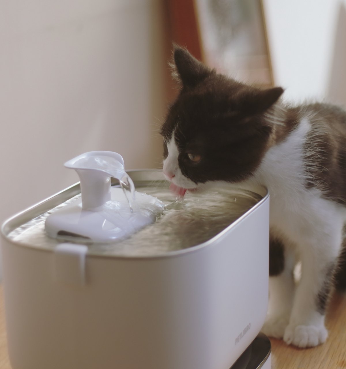 Petlibro Dockstream Replacement Pump