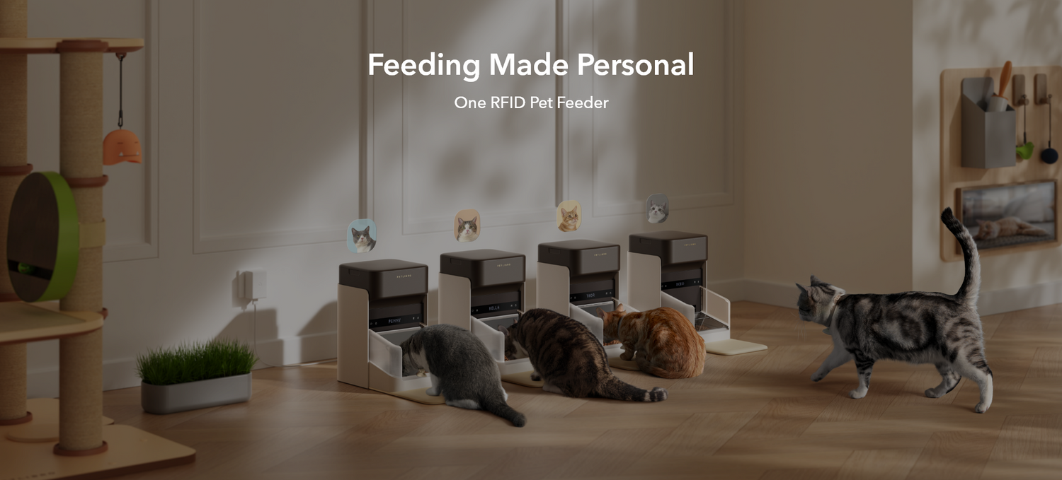 Petlibro One RFID Smart Feeder
