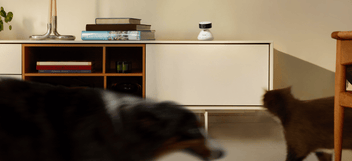 Petlibro: Designed better for your lives together