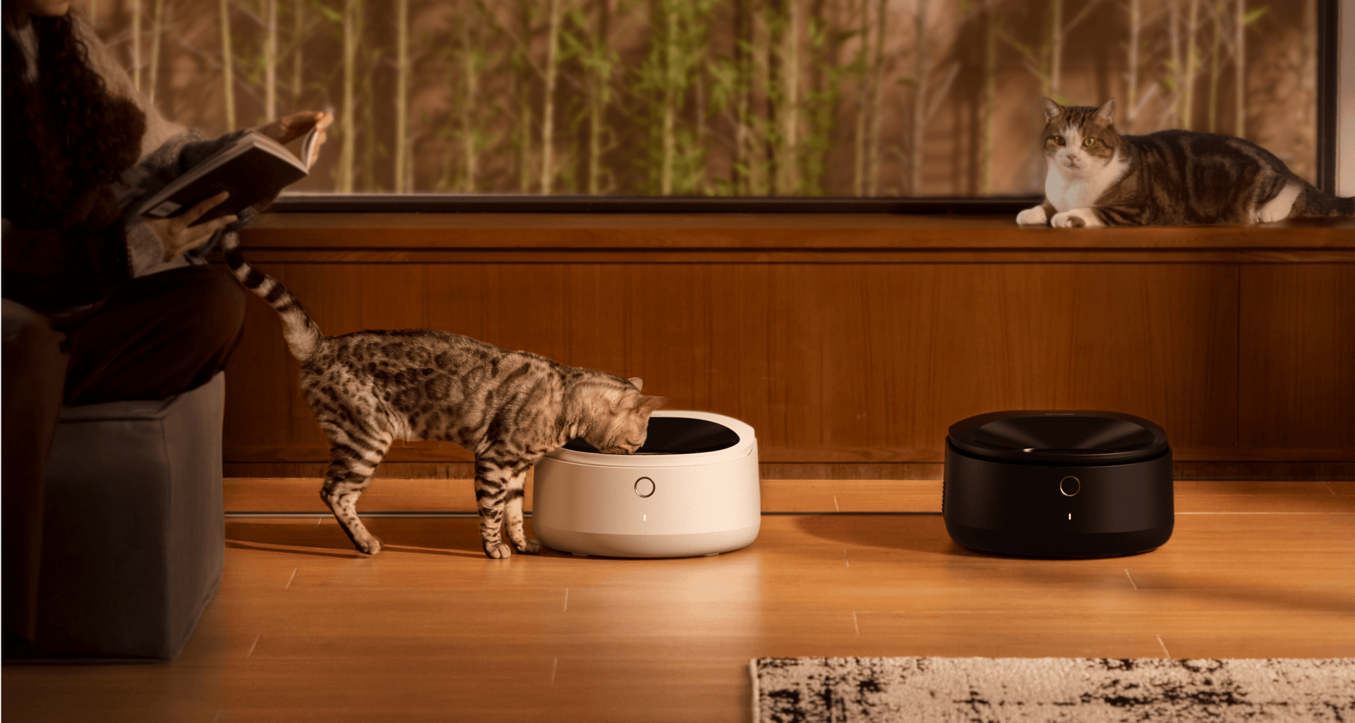 Petlibro Polar Wet Food Feeder