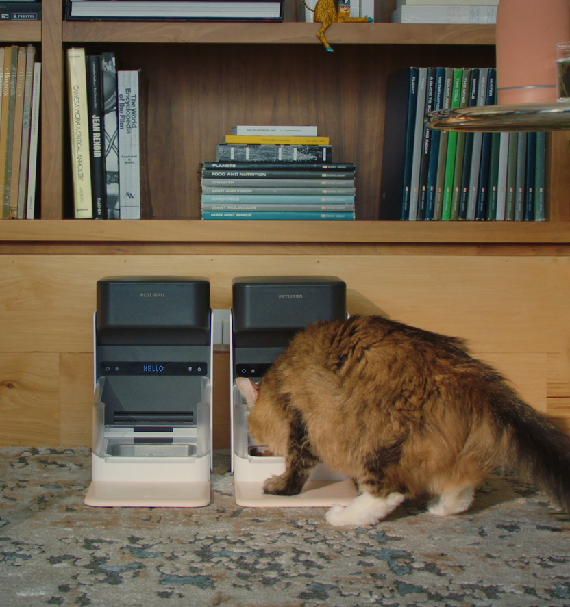 Petlibro One RFID Smart Feeder