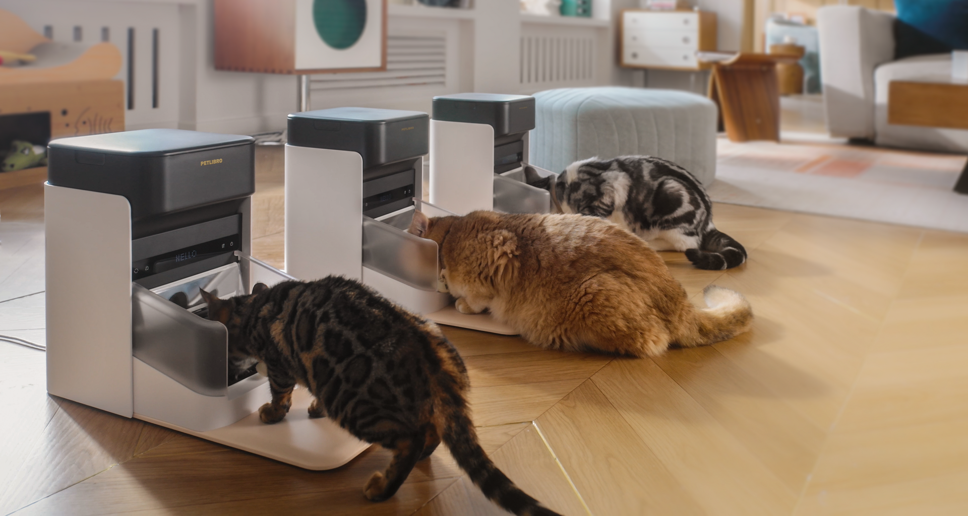 Petlibro One RFID Smart Feeder