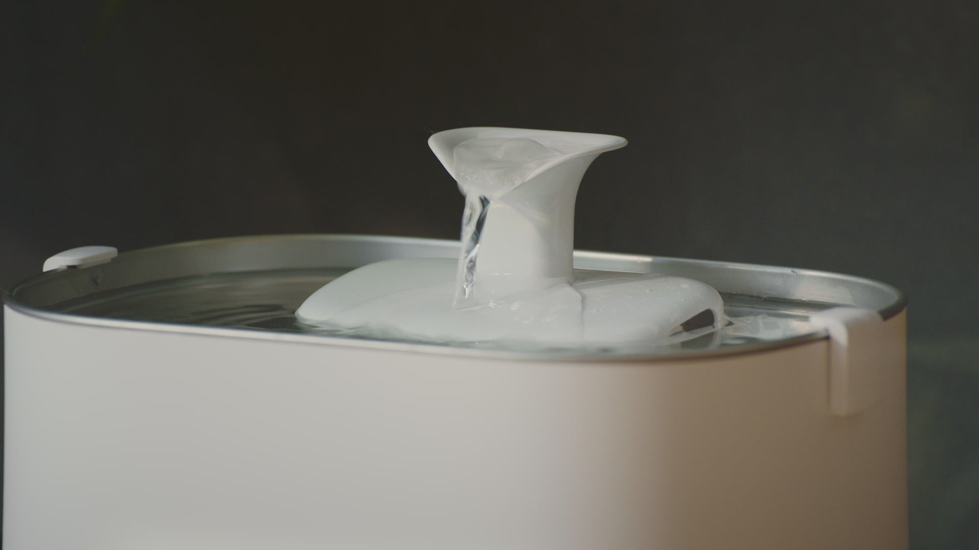 Petlibro: Designed better for your lives together