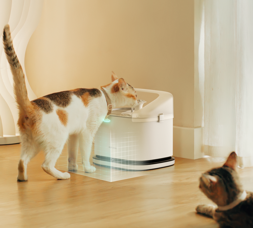 Dockstream RFID Smart Fountain